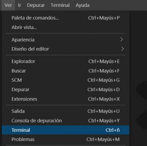 Cómo usar la terminal integrada de Visual Studio Code - Damián De Luca